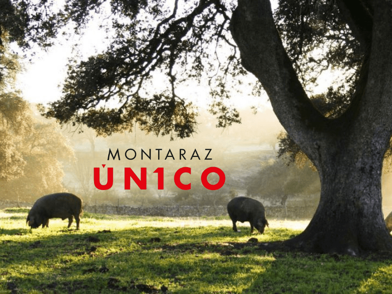 Montaraz: Preserving Tradition and Nature in the Art of Iberian Ham ...